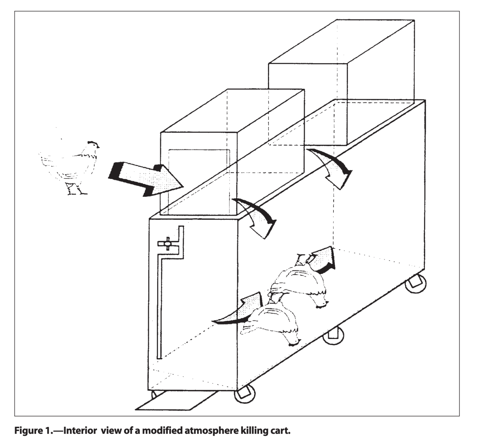 Humane Methods for Dealing with Spent Hens | Poultry Environmental ...